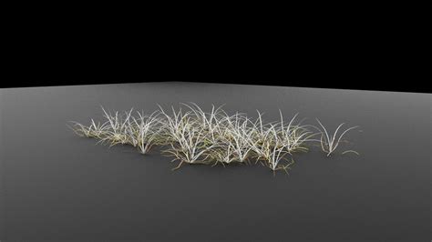 Plants Grass Patch 3d Model By Botanicraft3d