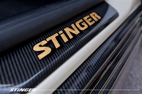 Gallery Stinger