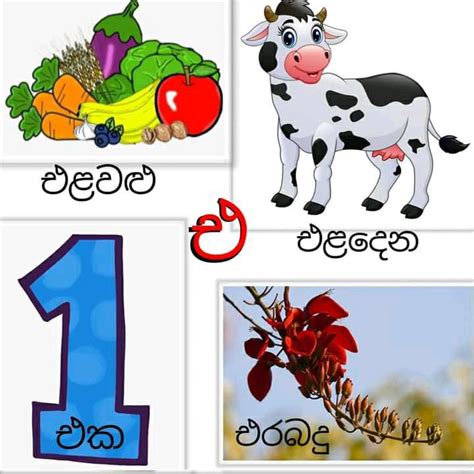 අපේ පාඨශාලාව අපේ පාඨශාලාව Added A New Photo