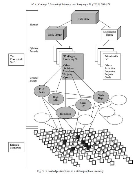 Cognitive Models And Theoretical Rationale