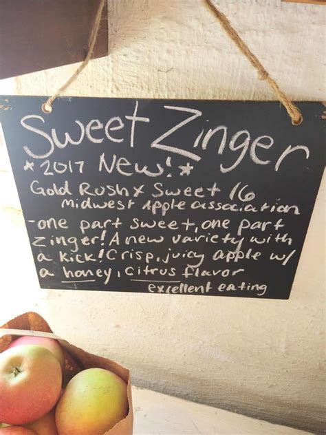 Sweet Zinger Apples Eat Like No One Else