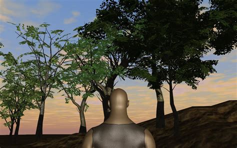 Trees With Hlsl Shaders And Shadows Image Realm Zero Indie Db