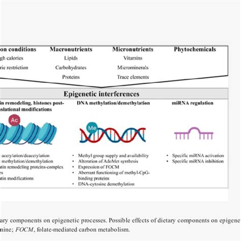 The Bclc Staging System For Hcc Prognostic Stage Treatment Methods Download Scientific