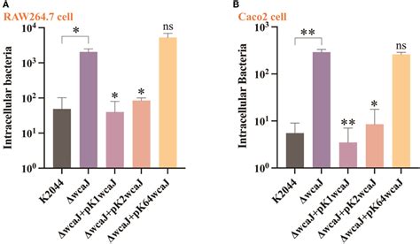 The Cell Internalization Phenotypes Of Different Klebsiella Pneumoniae Download Scientific