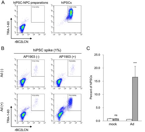 Hipscs In Cultures Of Hipsc Npc Preparations Are Concentrated By Download Scientific Diagram