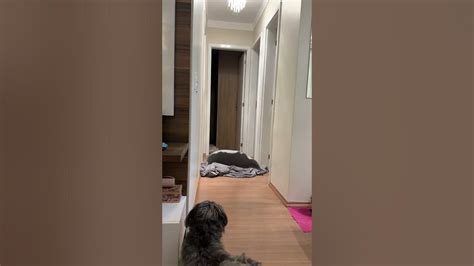 Brincando Com A Nina Youtube