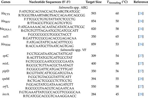 Oligonucleotide Primers In The Pcr Assay Download Scientific Diagram