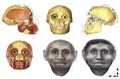 330 Forensic Facial Reconstruction Ideas Forensic Facial
