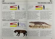 Thylacoleo Dinopedia Fandom