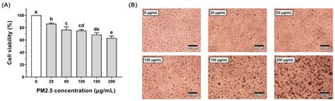 Nutrients Free Full Text Selenium Enriched Soybean Peptides As Novel Organic Selenium