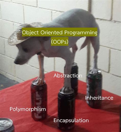 Object Oriented โปรแกรมเมอร์ไทย Thai Programmer