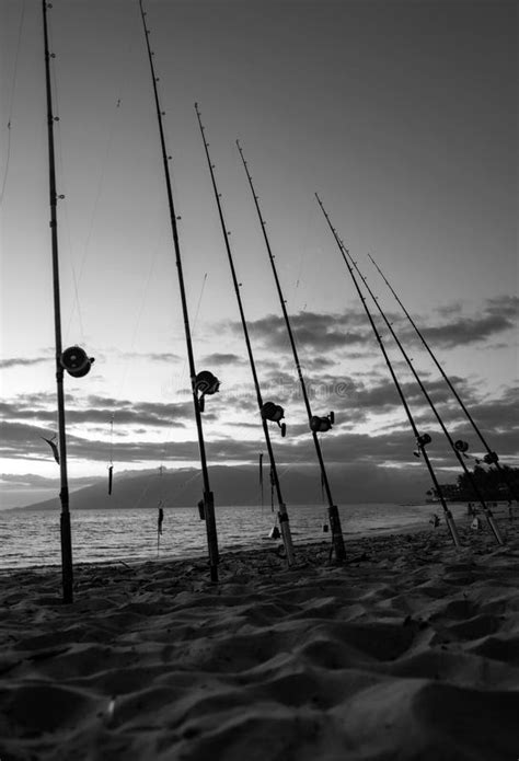 Fishing Trolling In Rod Holder Big Game Fishing Fishing Reels And