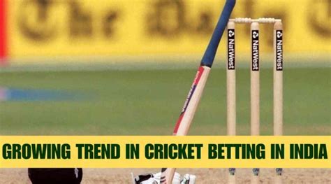 The Growing Trend Cricket Sports Betting In India Cricindeed