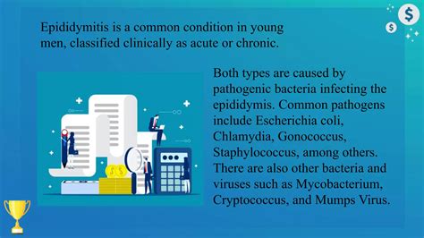 Epididymitis And Varicocele A Comparison Of Causes And Treatments Pptx Sexual Conditions