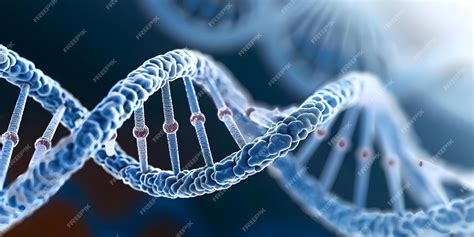 Dna Replication A Closeup Illustration Of Genetic Inheritance In Molecular Biology Concept
