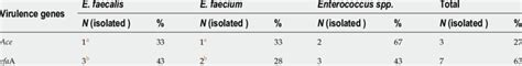 Distribution Of The Virulence Genes Of Enterococcus Faecium Download Scientific Diagram