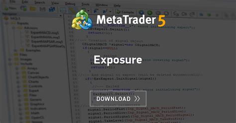 Free Download Of The Exposure Script By Ivanbg For Metatrader 5 In