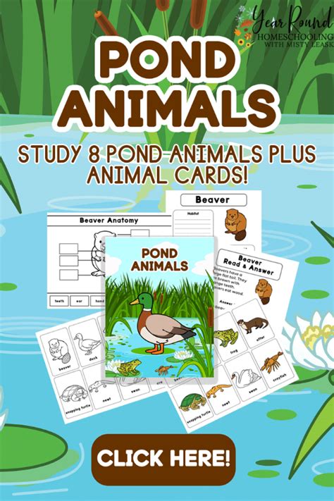 Pond Animals Study Pack Year Round Homeschooling