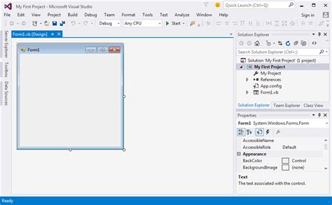 Visual Basic Net Riset