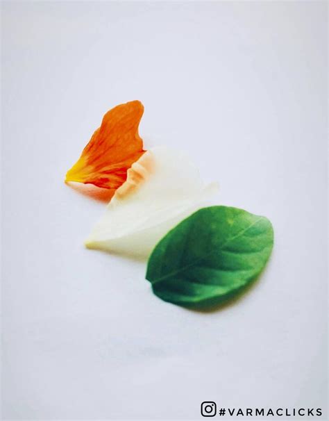 Photography Merlin Thomas