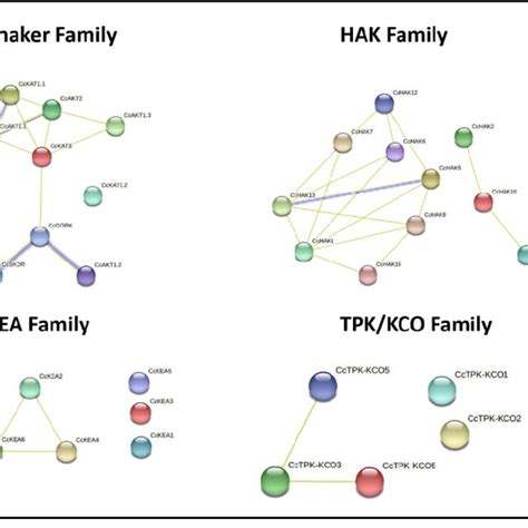 Schematic Representation Of Protein Protein Interaction Ppi Networks Download Scientific