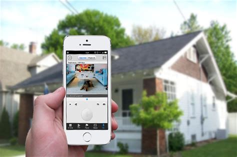 Can Cctv Cameras Work Without Internet — Killer Points You Dont Wanna Miss — Reolink Blog