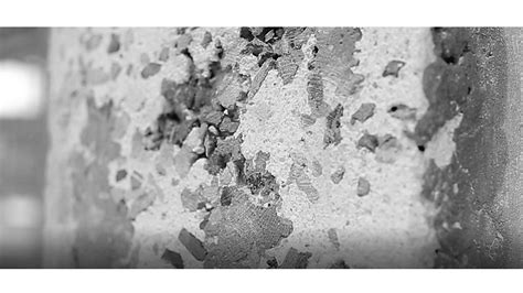 Dadfa Community Mall M Space Archidiaries