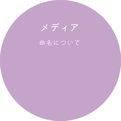 About Naming｜the Joint Project For The Conservation Of Giant Pandas Website