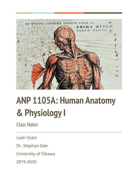 Anatomy Lecture Notes 1 3 Anp 1105a Human Anatomy And Physiology I Class Notes Leah Oster Dr