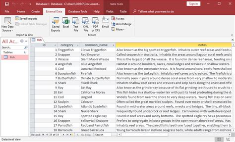 Using Odbc Drivers In Third Party Tools
