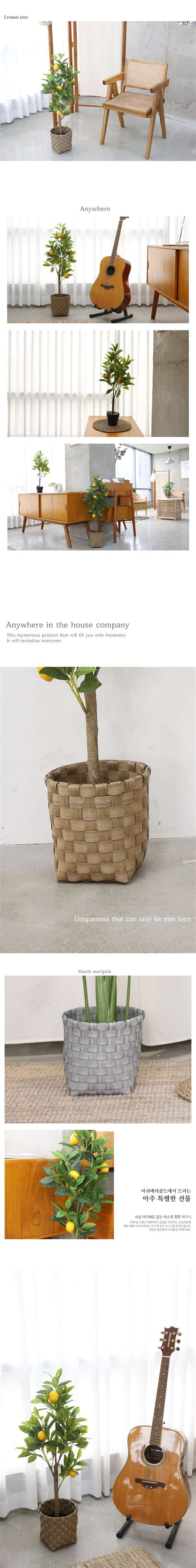 조화나무 레몬나무 화분세트 고퀄리티 인조나무 감도 깊은 취향 셀렉트샵 29cm