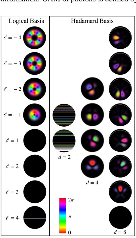 The Logical And Hadamard Bases For Dimensions 2 4 And 8 Are Shown The Download Scientific