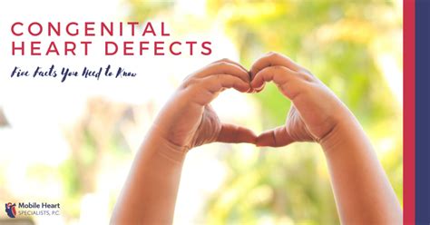 Five Facts You Should Know About Congenital Heart Defects Mobile
