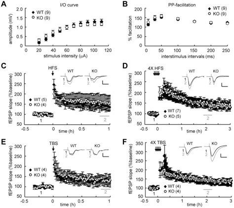Basal Synaptic Transmission A Input Output Io Curve And B Download Scientific Diagram