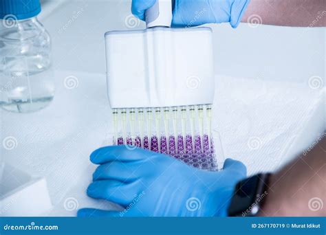 Cell Culture At The Cell Culture Laboratory Stock Image Image Of Cells Biology 267170719