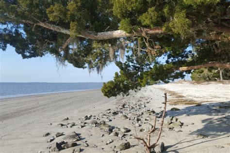 Jekyll Island Beaches • Jekyll Island Georgia • Vacation Conservation