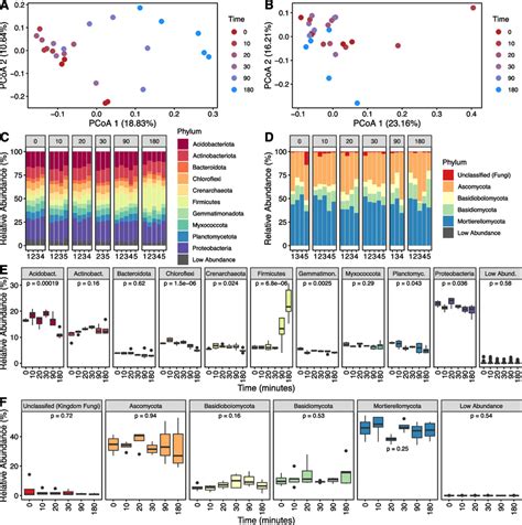 Analysis Of Archaeal Bacterial And Fungal Community Composition Download Scientific Diagram