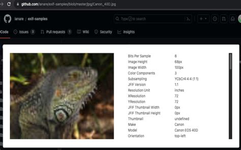 Exif Viewer for Google Chrome - Extension Download