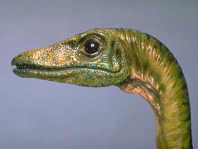 8 Compy Ideas Jurassic Park Jurassic Park World Jurassic