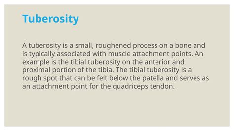 Bony Landmarks Terminology Of Anatomy Physiology Pptx