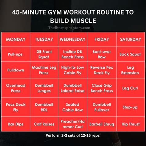 5 Day A Week Workout Plan For Muscle Gain Cardio Workout Routine