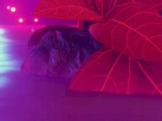 Shogun Porn Gif Pornhub Com