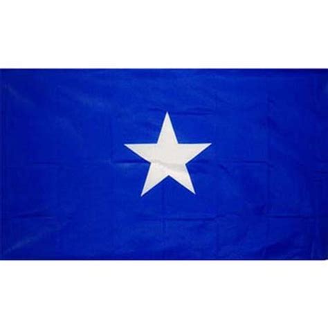 Bonnie Blue Flag