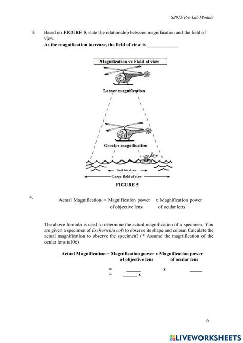 Pre Lab Exp 1 Basic Technique Of Microscopy Online Exercise For Live