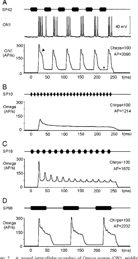 figure 1 from spike rate coding in a simple auditory system temporal