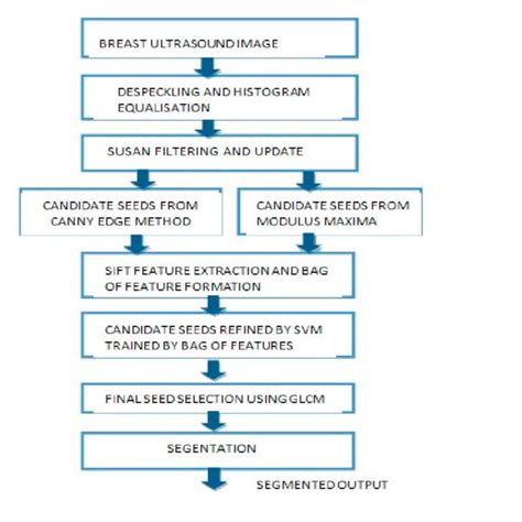 Block Diagram Of The Proposed Method For Tumor Segmentation Download