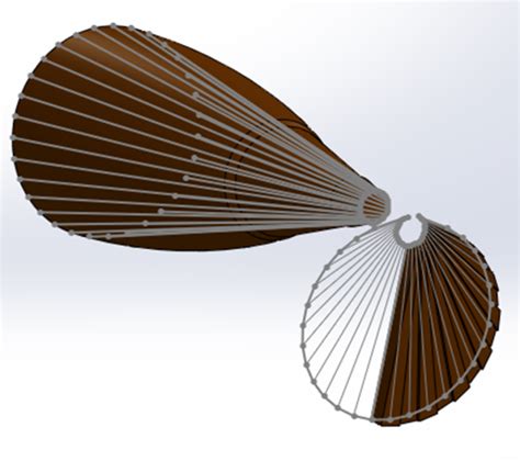 Figure 6 The Area Has Drawn From The Projection Of The Segments An