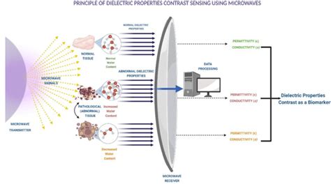 The Emerging Role Of Binary Translators In The Medical Field