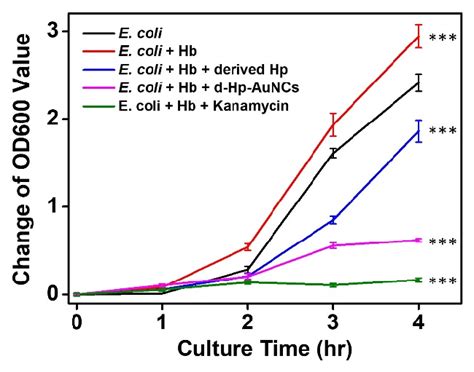 Growth Curves Of Escherichia Coli Incubated With Various Solutions Download Scientific Diagram