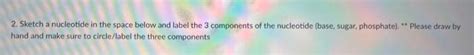 Solved Upload Your Hand Drawn Sketch Of A Nucleotide From